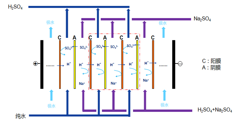 Hydrogen Ion Selective Permeable Membrane